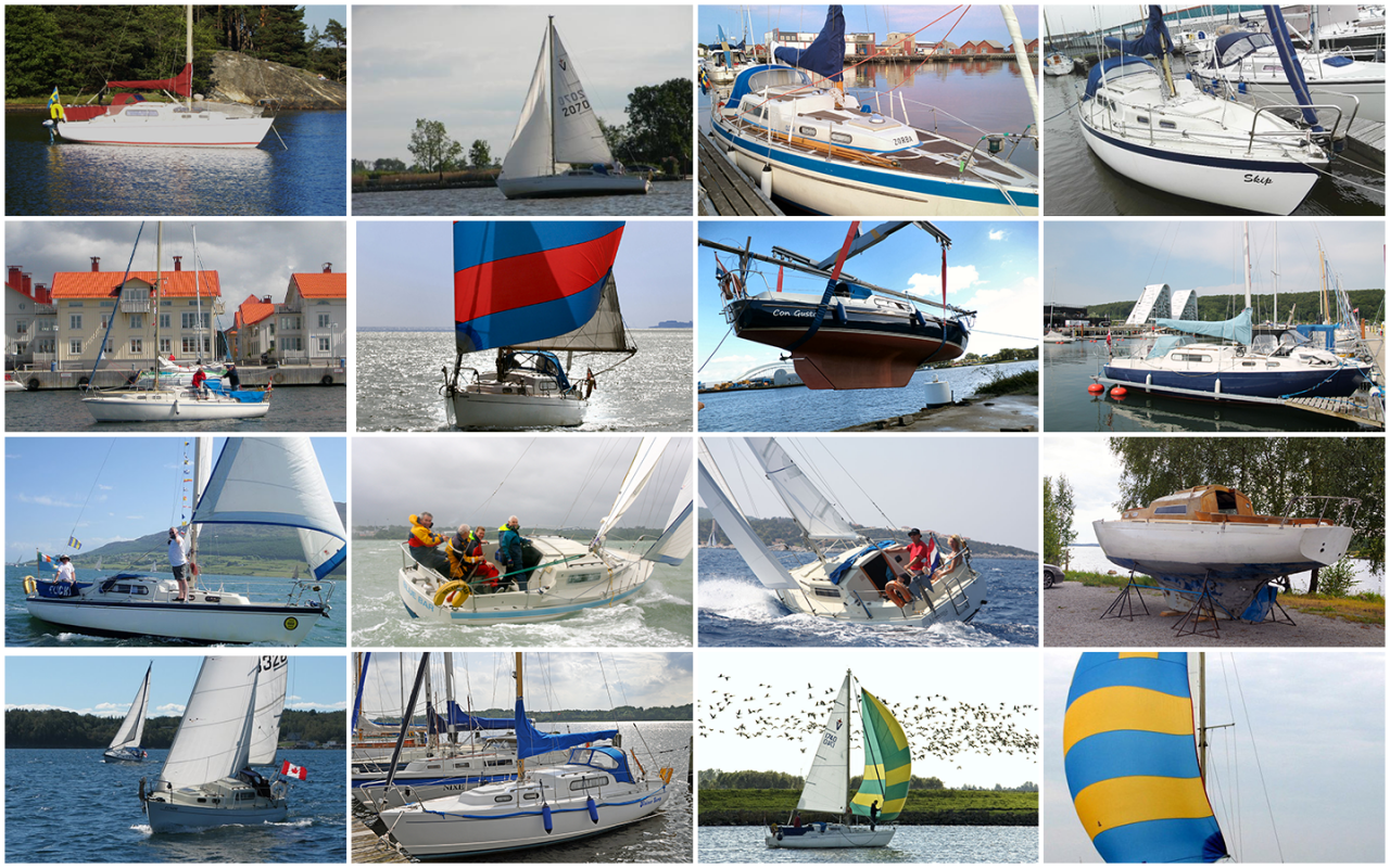 Albin Vega Directory | the worldwide Albin Vega ressource